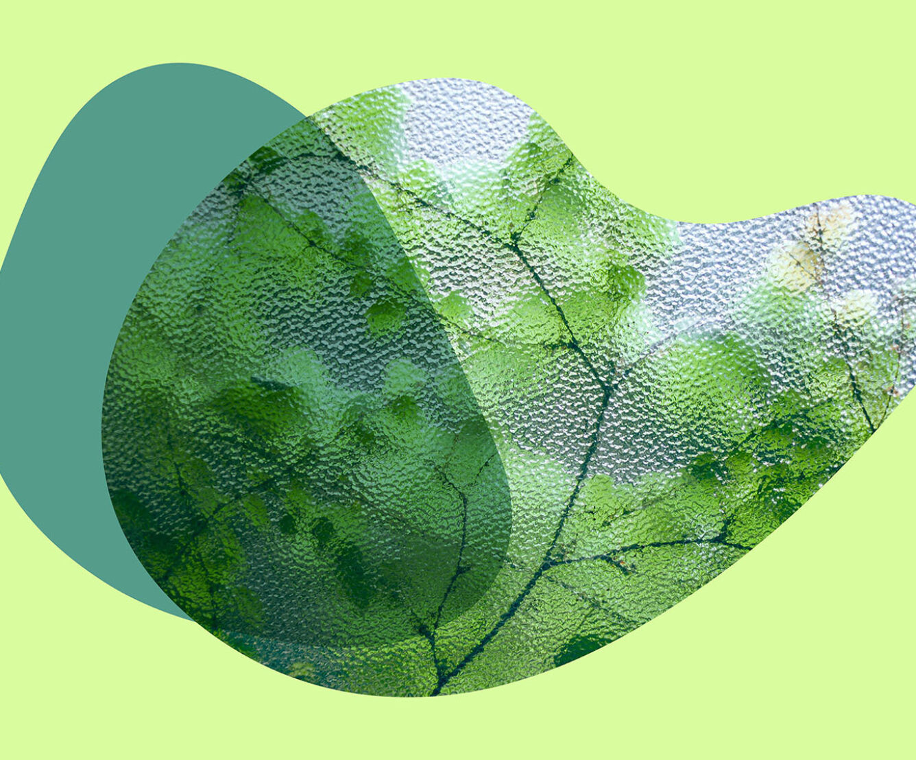 Aedifica: Architecture & Design firm in Montreal